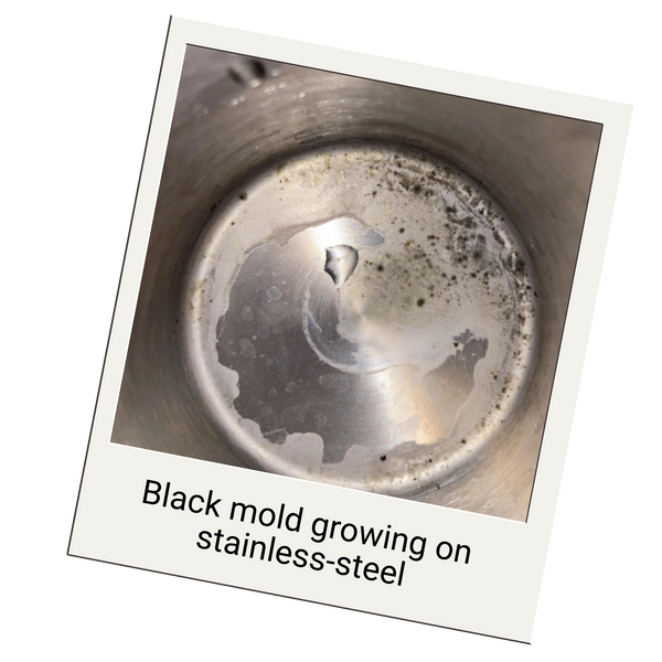Got Mold On Your Stainless Steel Tumbler? | Ice Shaker