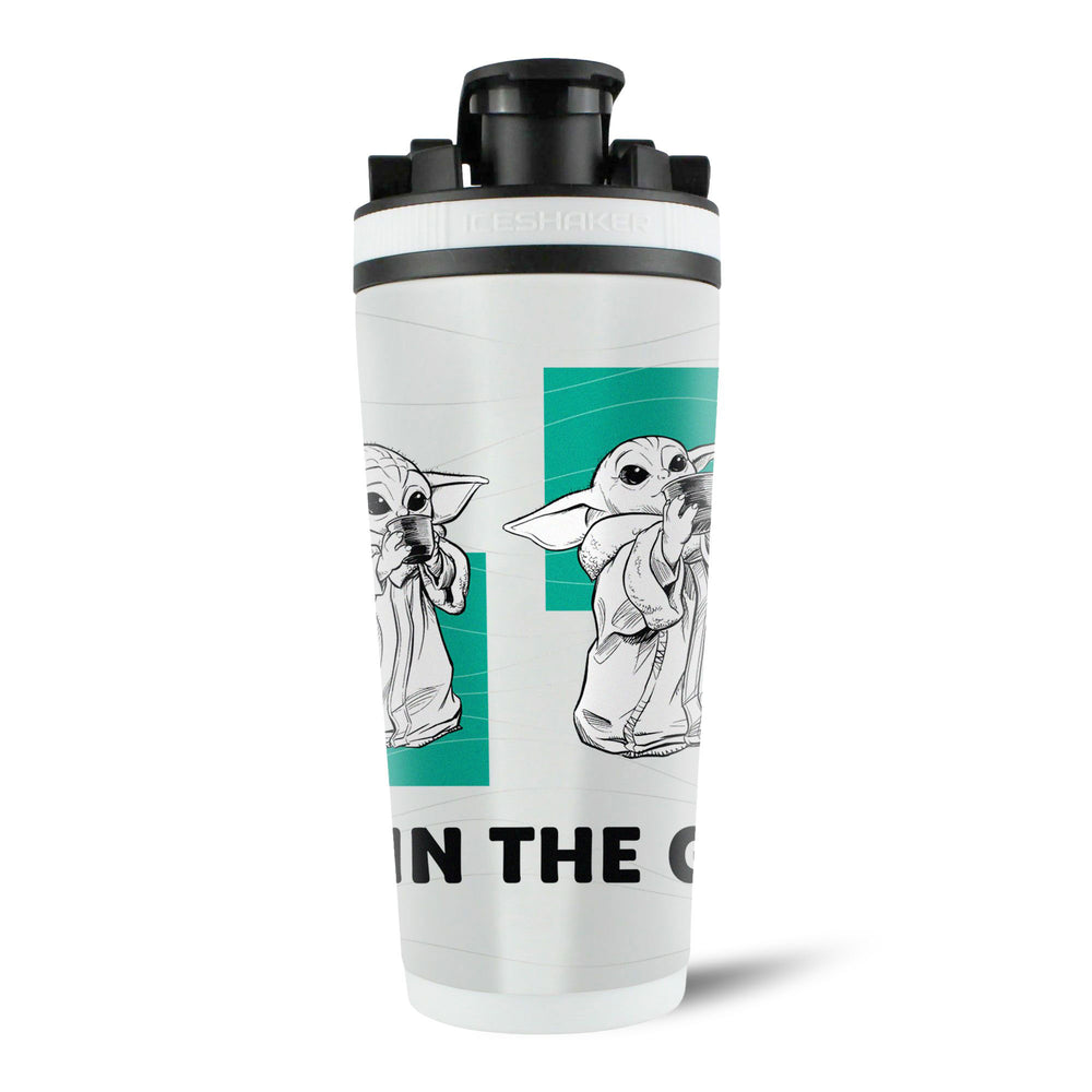 Disney's The Mandalorian Stainless Steel Water Bottle Collection