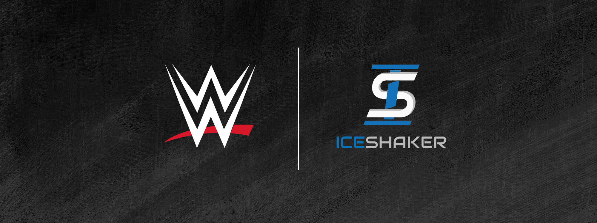 Officially Licensed WWE Stainless Steel Water Bottles | Ice Shaker