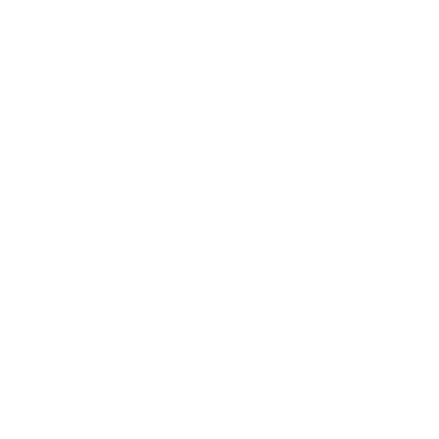 Custom Logo Shop | Ice Shaker